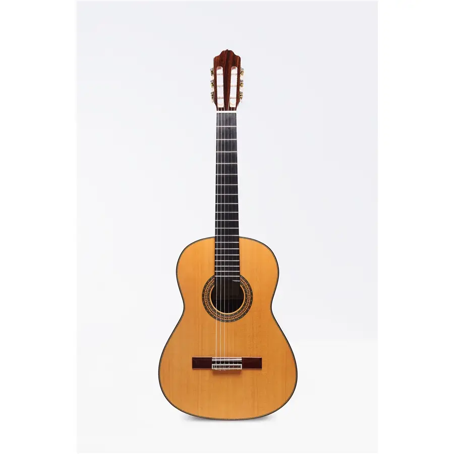 Esteve Alegria - chitarra classica