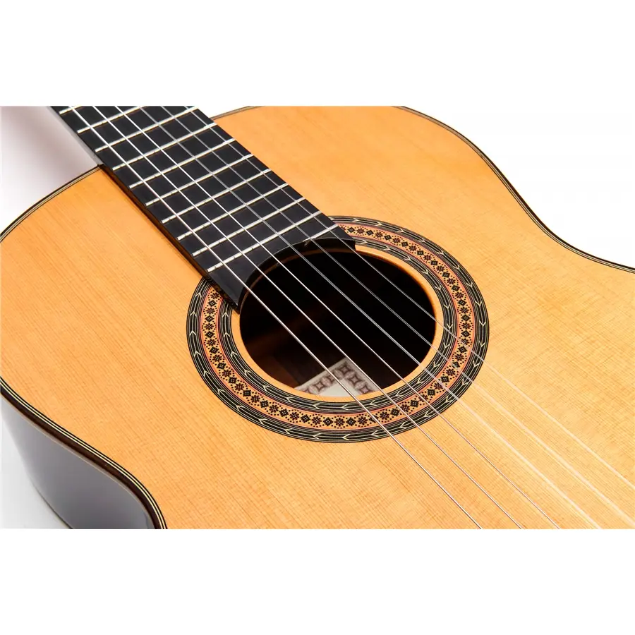 Esteve Alegria - chitarra classica