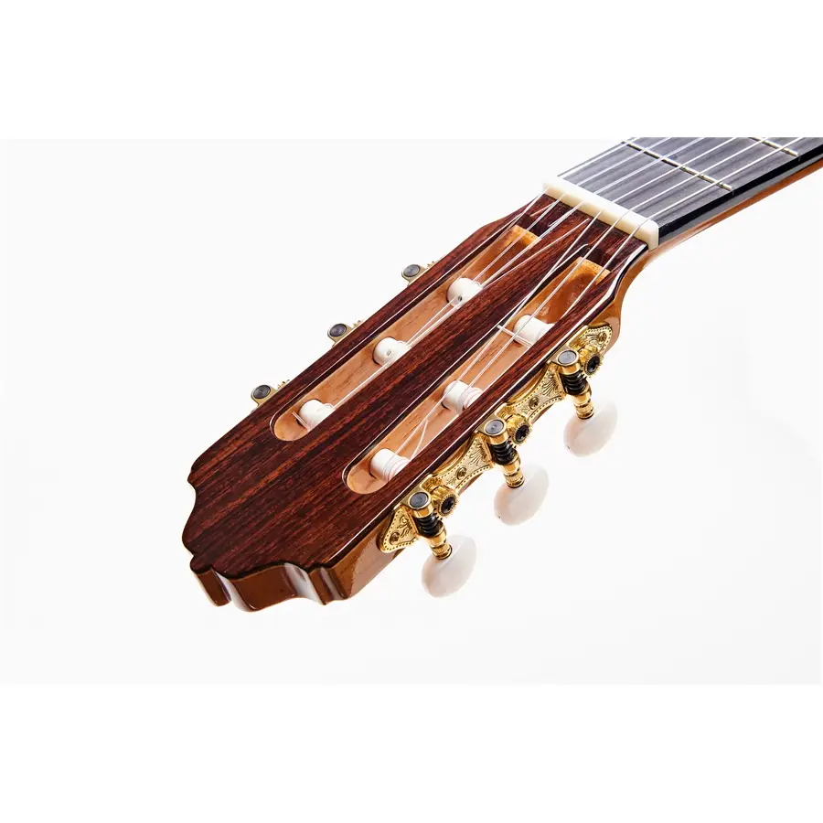 Esteve Alegria - chitarra classica